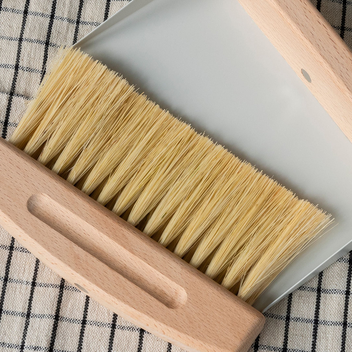 Clean & Hygiene